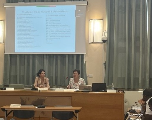 Civil Procedure and Enforcement projects discussed at the UNIDROIT ...