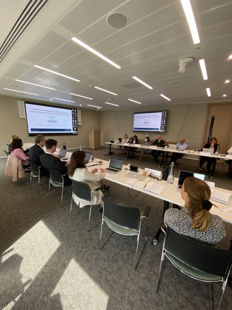 UNIDROIT and the EBRD undertake consultations in London to strengthen ...
