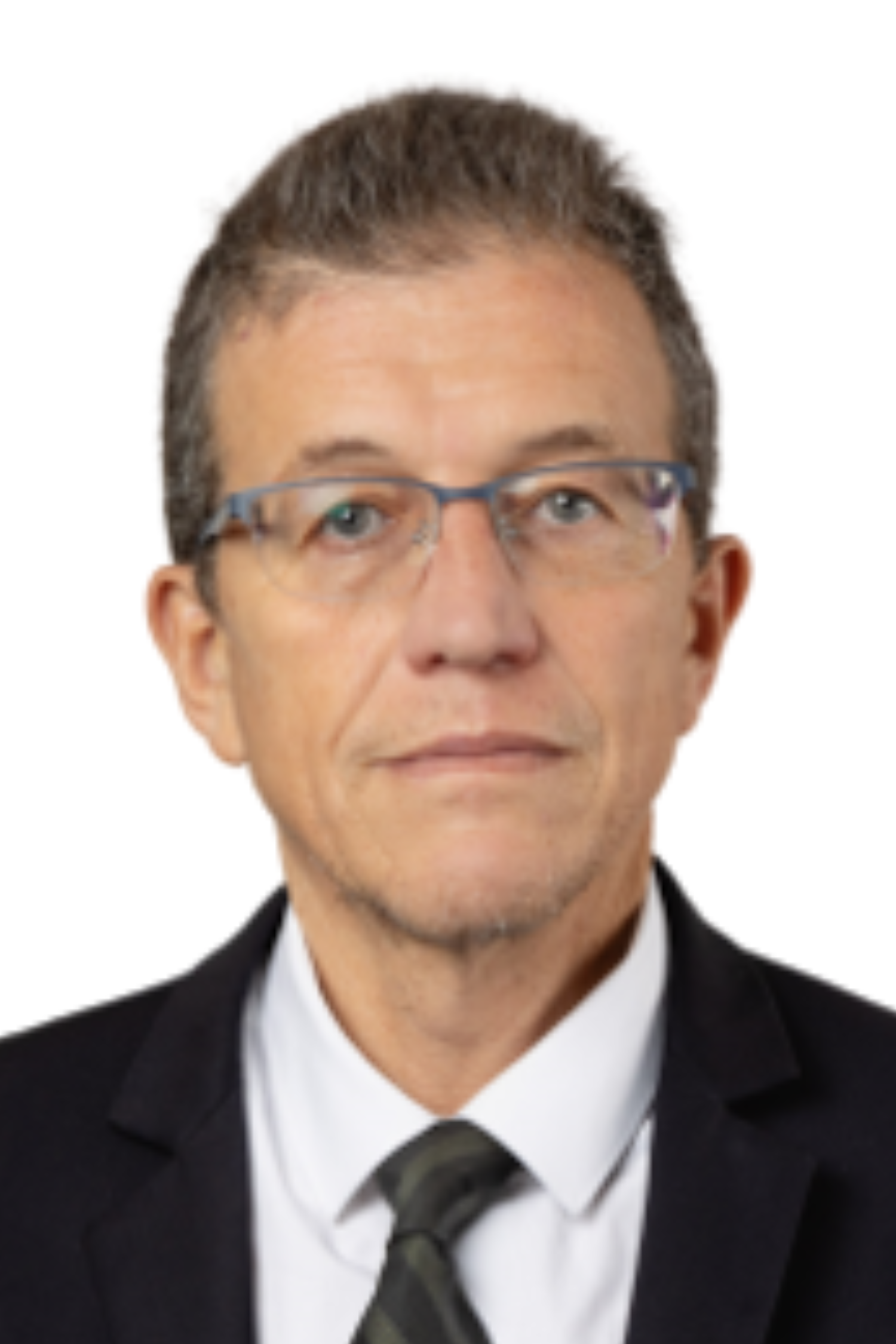 UPICC Model Clauses - UNIDROIT